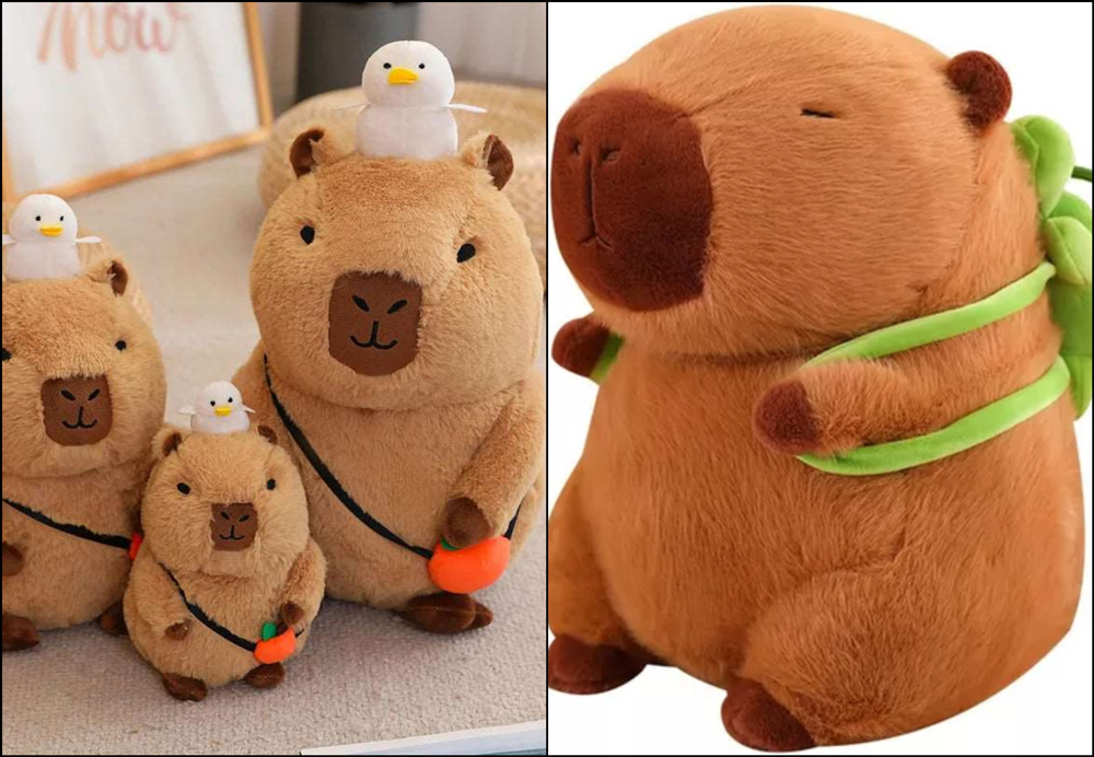 ¿Por qué el Capibara es tan atractivo y se convirtió en el regalo más ...